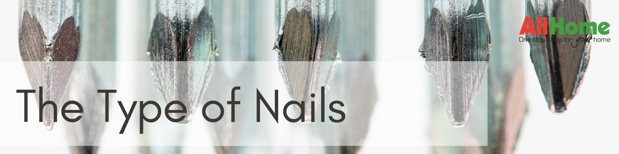The Nail Guide: Types of Nails you need to know | AllHome.com.ph